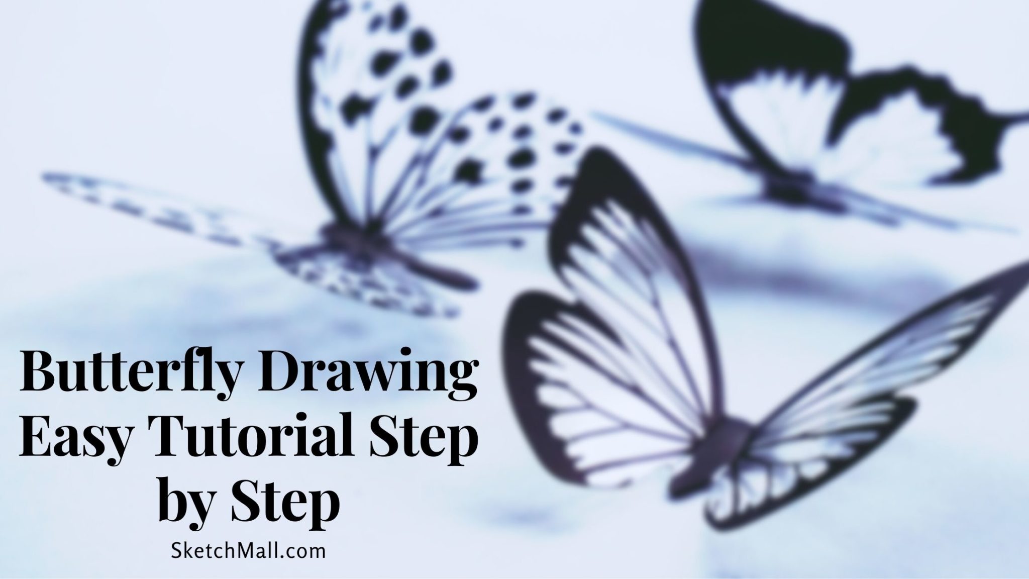 Butterfly Drawing Easy Tutorial Step by Step | Amazing Results